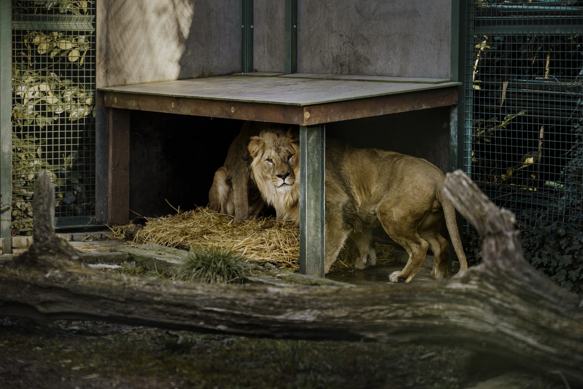 Nowhere to Go - IJ4EU